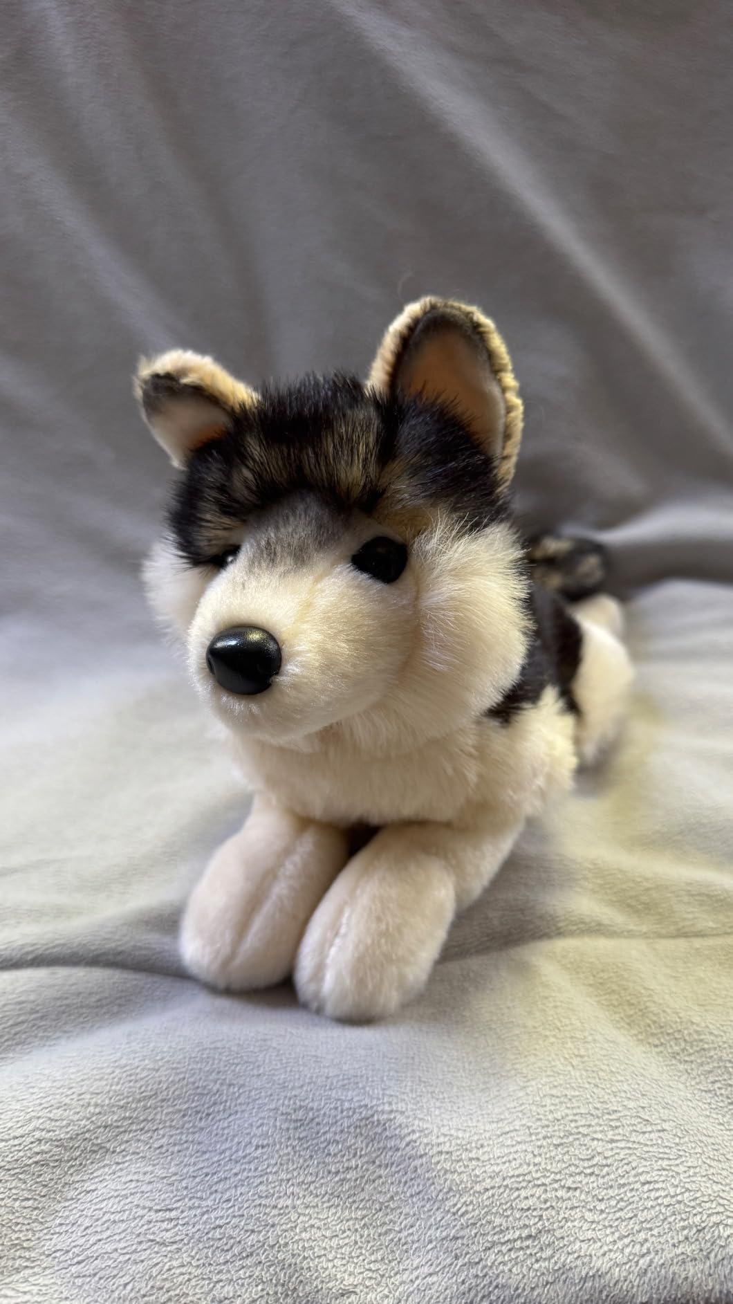 Douglas Phoenix Wolf Plush Stuffed Animal : Amazon.com.au: Toys & Games