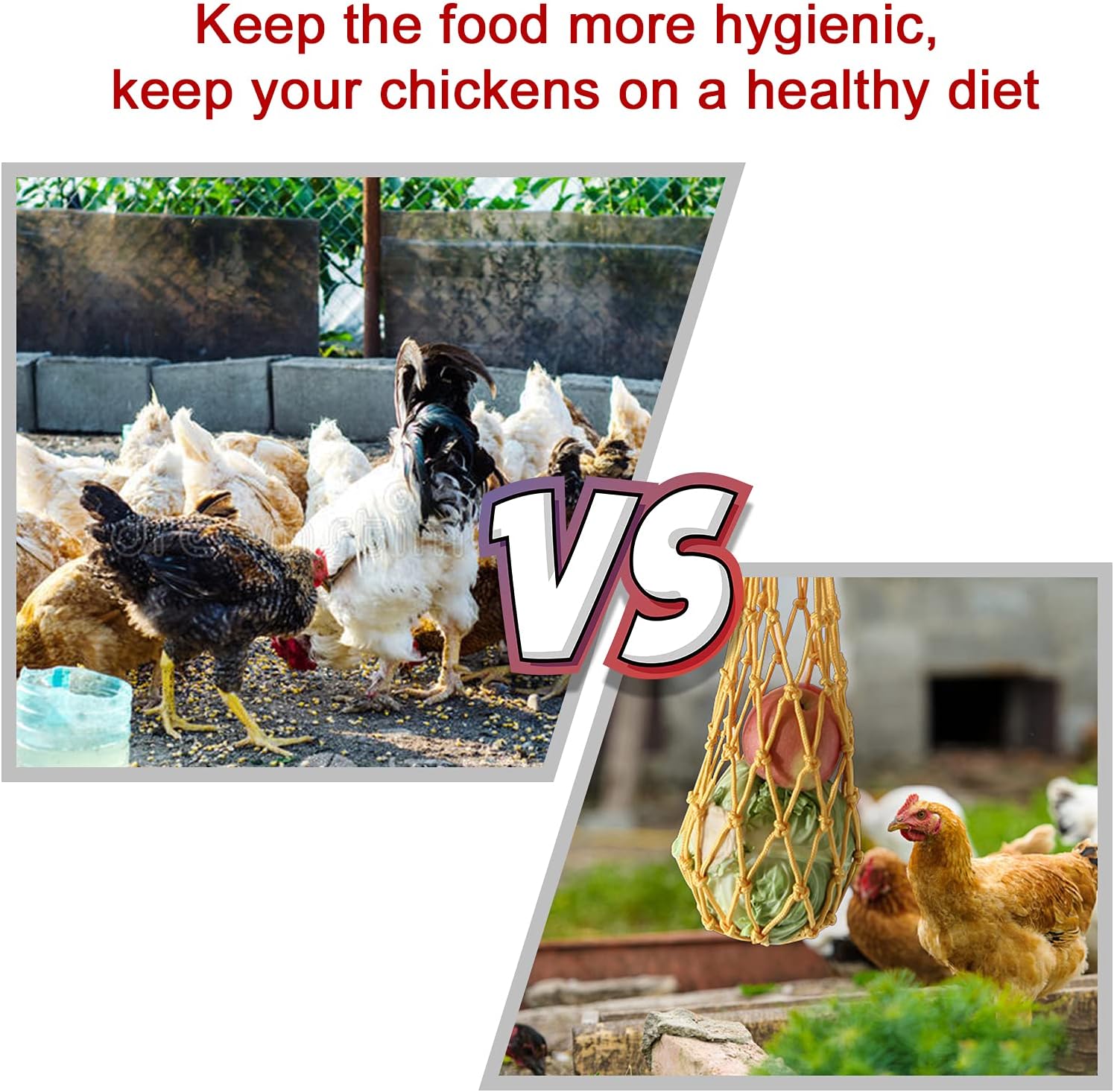 Chicken Toys for Hens, Chicken Xylophone Toys with Chicken Vegetable ...