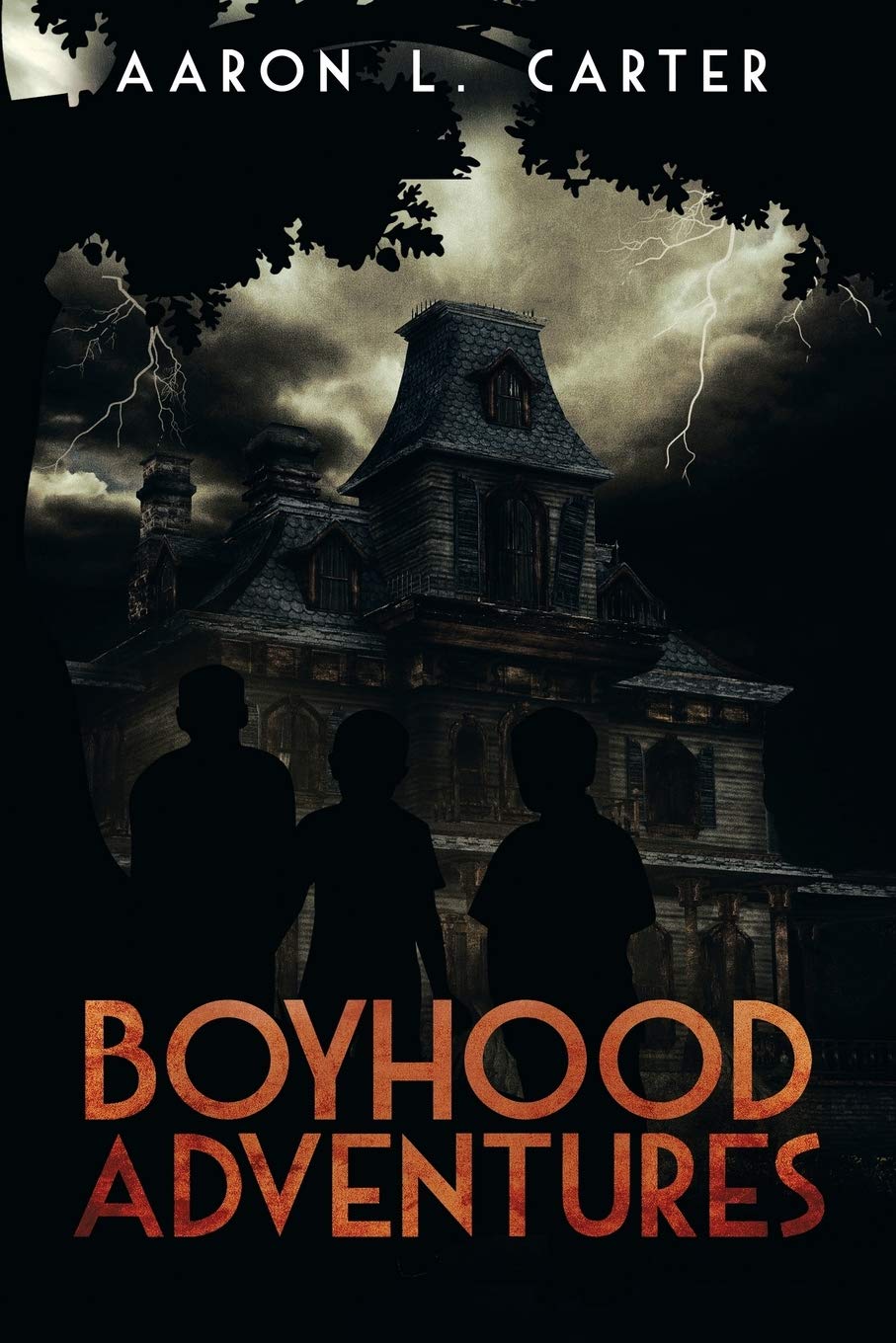Boyhood Adventures: Carter, Aaron L.: 9781493164004: Amazon.com: Books