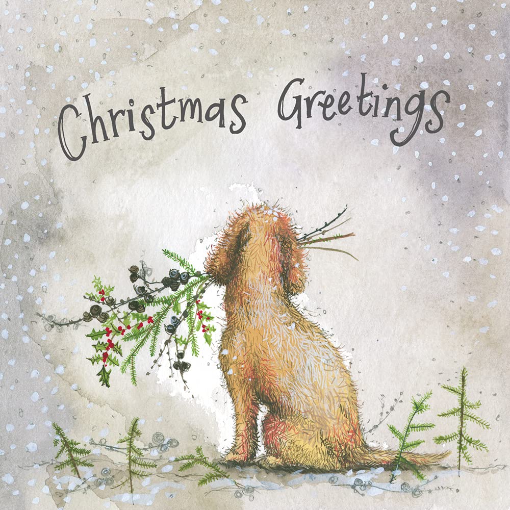 Alex Clark Dog Cards