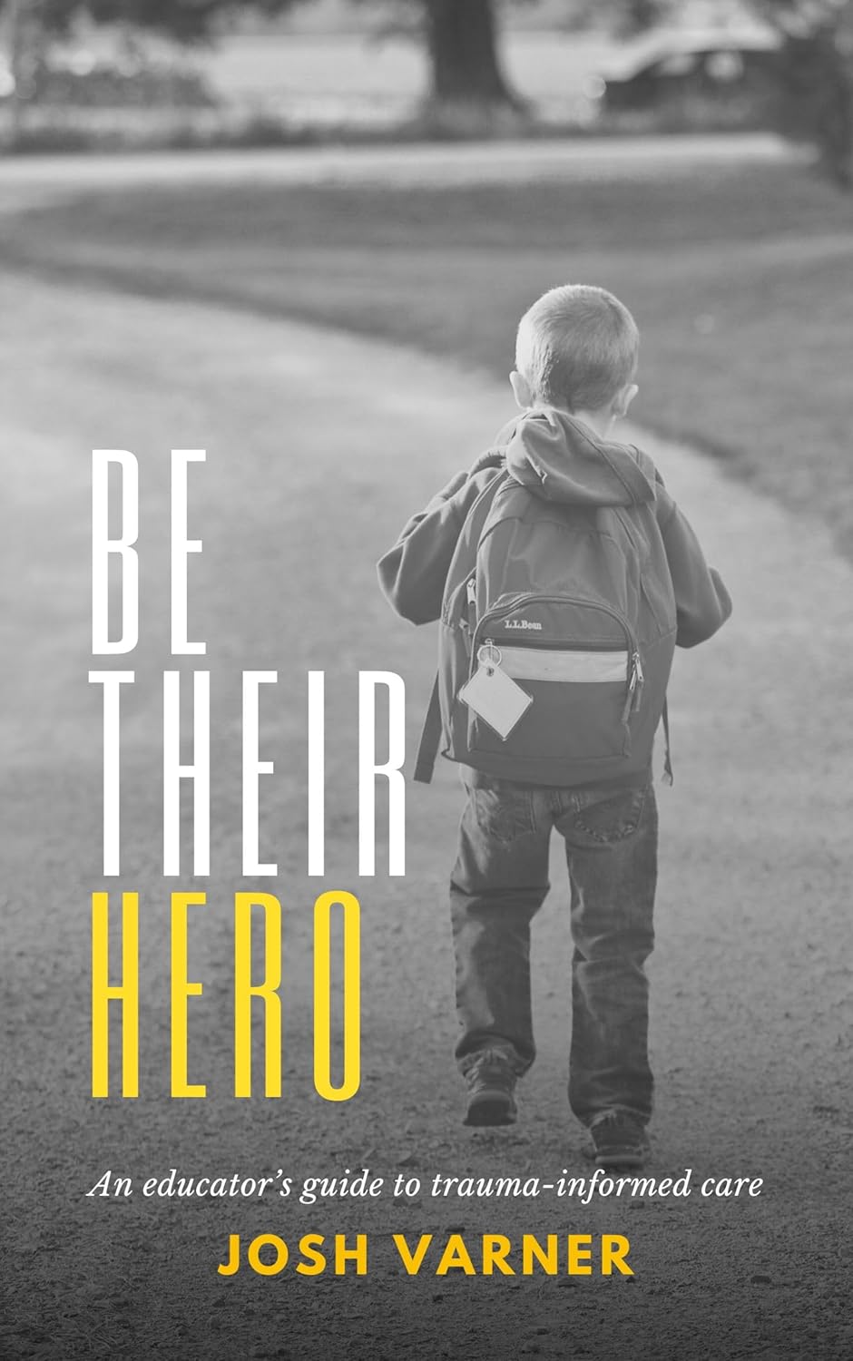 Amazon.com: Be Their Hero: An Educator's Guide to Trauma-Informed Care ...