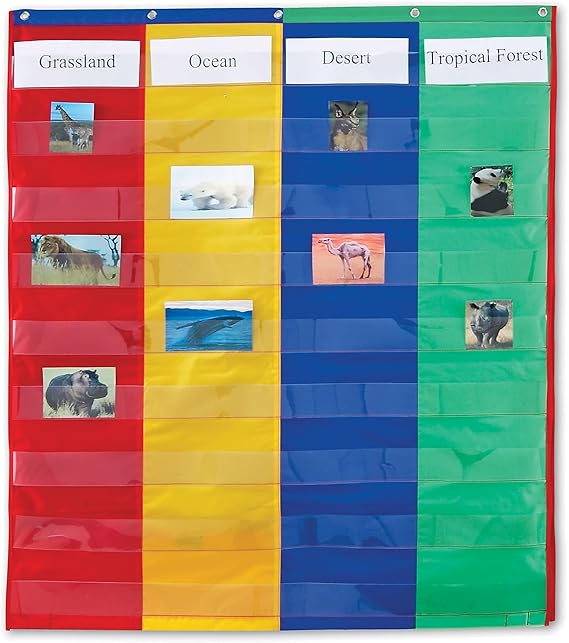 Amazon.com: Learning Resources 2 And 4 Column Double-sided Pocket Chart ...