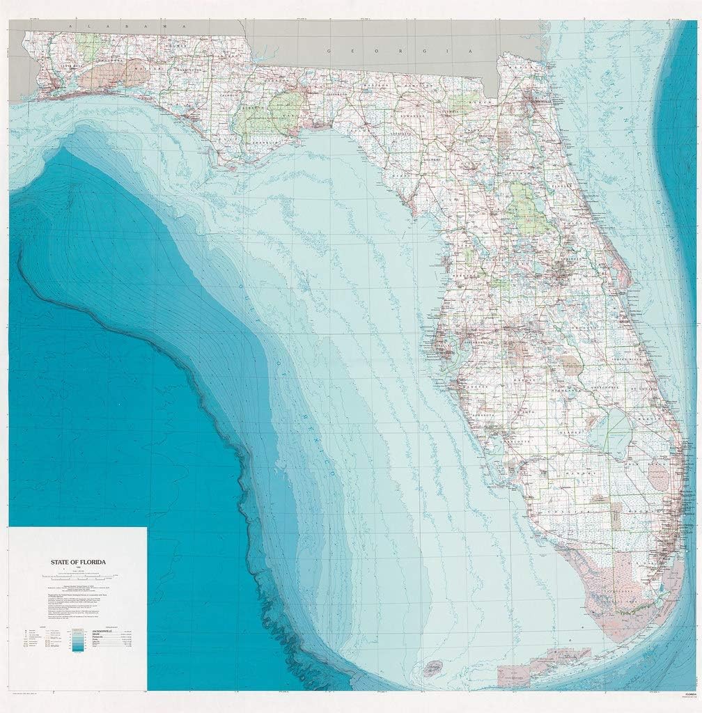 Amazon.com: Art Oyster Map of State of Florida - 40" x 43" Peel & Stick ...