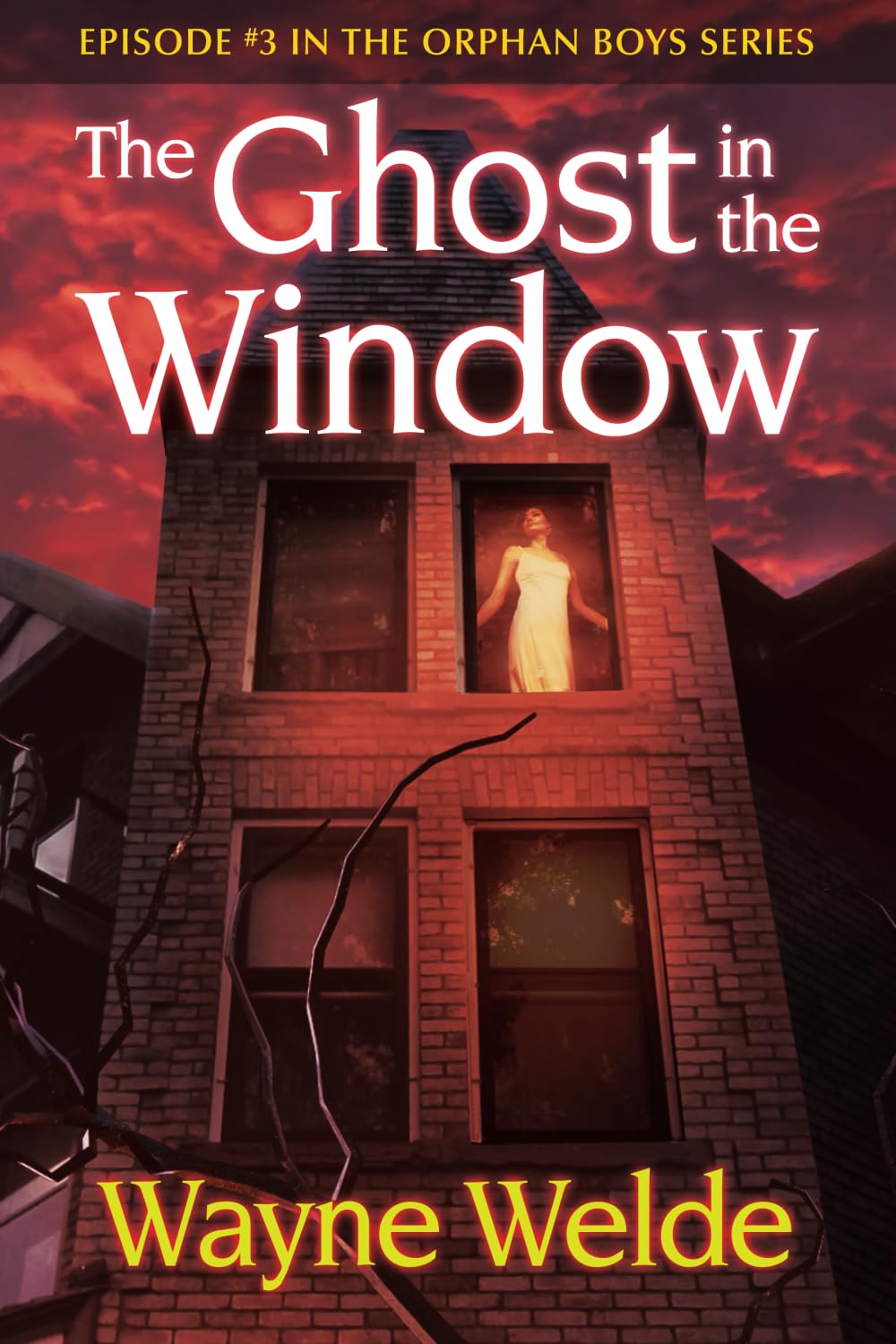 Amazon.com: The Ghost in the Window: Episode 3 of the Orphan Boys ...