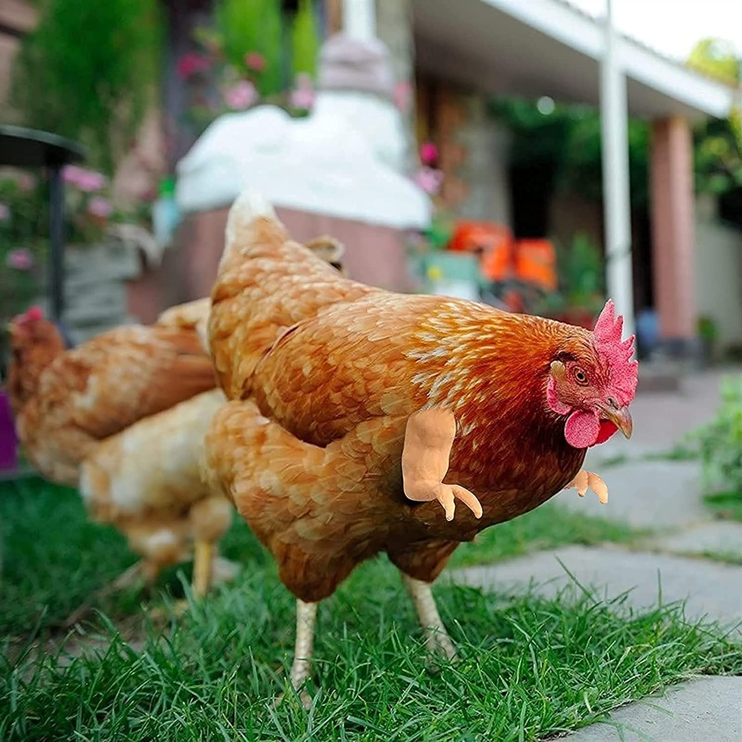 You Can Now Get Tiny T-Rex Chicken Arms For Your Backyard, 53% OFF