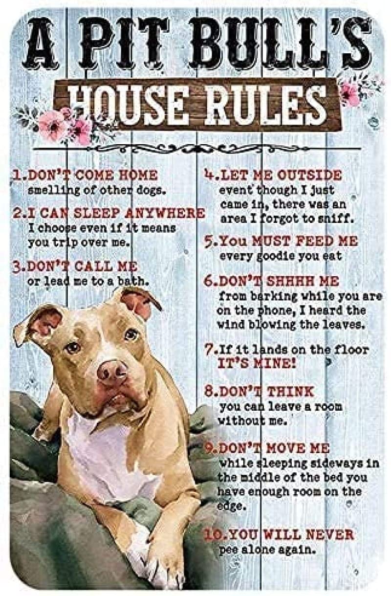 Amazon.com: Geuuki Metal Sign A Pitbull Is House Rules Sign Vintage ...