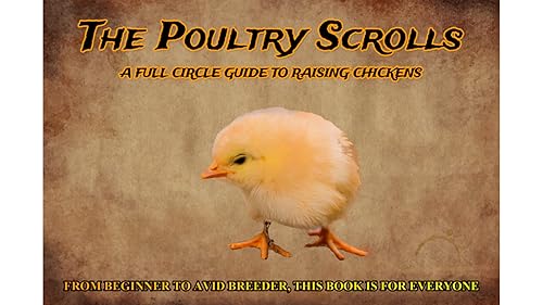 The Poultry Scrolls: A full circle guide to raising Chickens ...