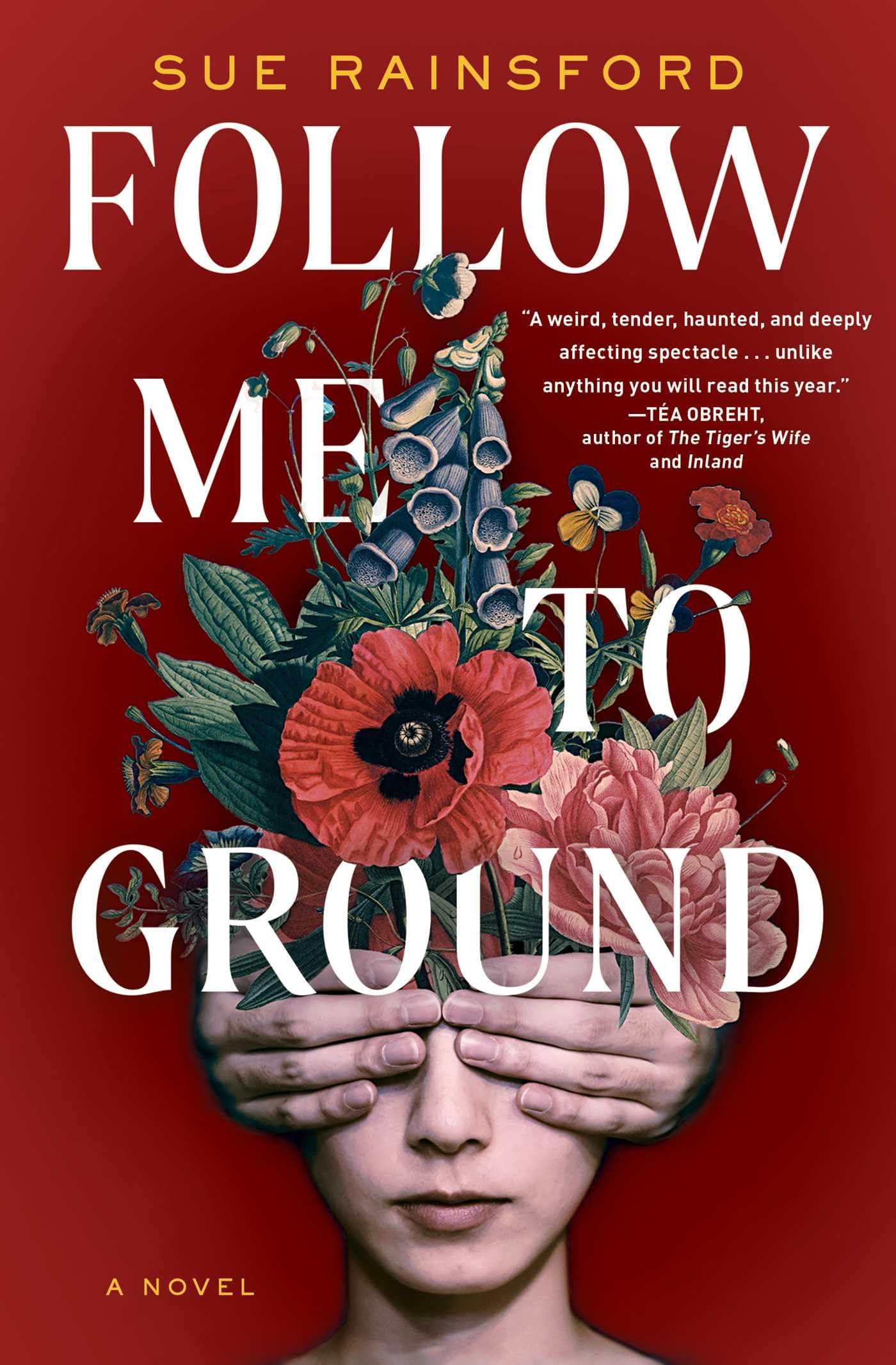 Amazon.com: Follow Me to Ground: A Novel: 9781982133641: Rainsford, Sue ...