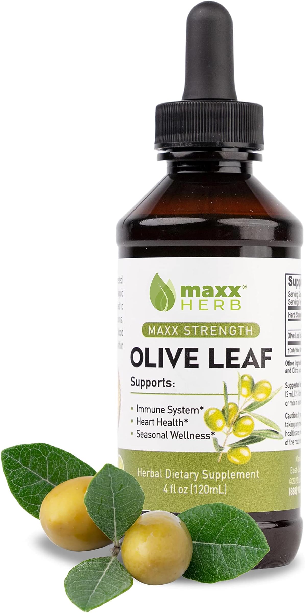 Amazon.com: Naturalma Olive (Olea europaea) Leaf Alcohol-Free Tincture ...