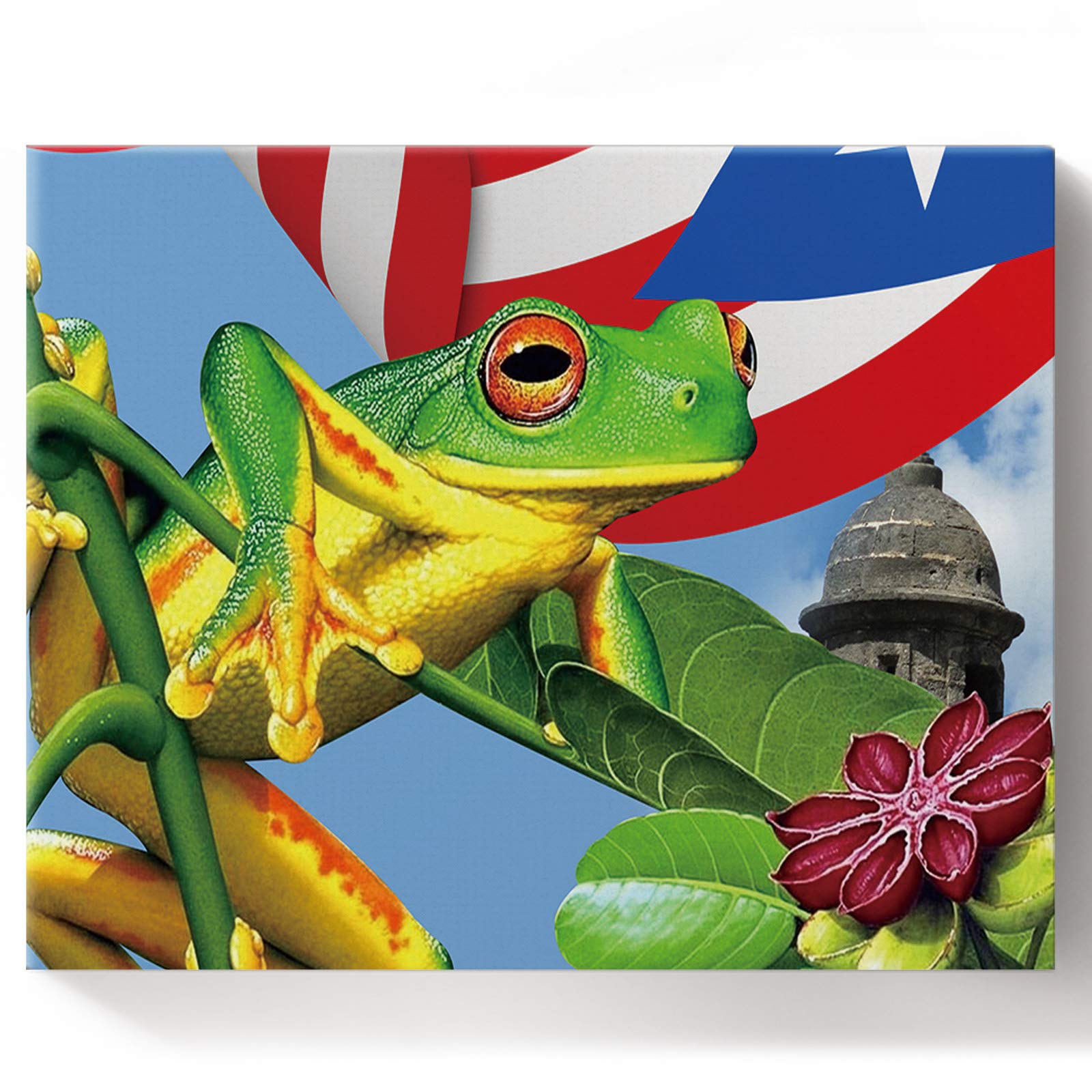 Red Eyed Tree Frog Craft