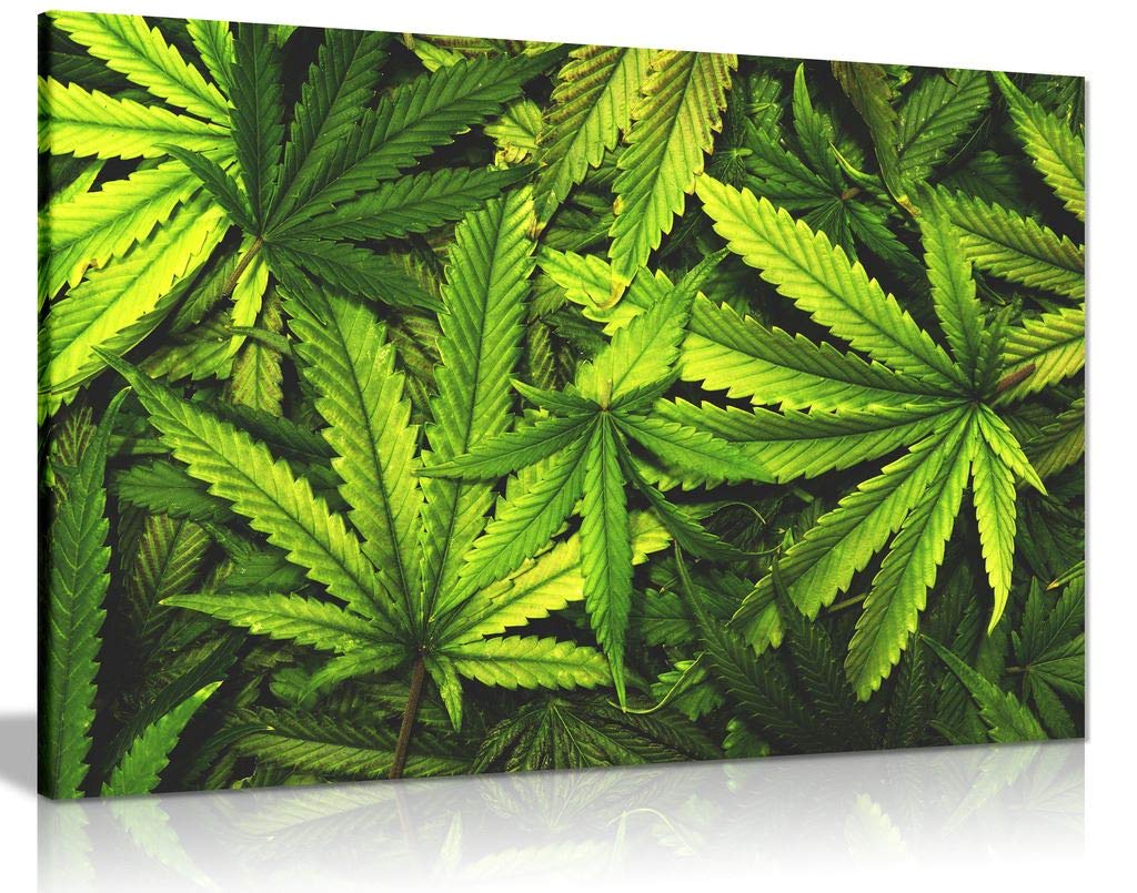 Weed Leaf Art