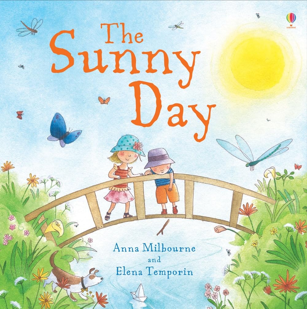 Buy Sunny Day (Picture Books) Book Online at Low Prices in India ...