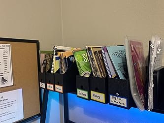 Amazon.com: ABC life Plastic Foldable Black Magazine File Holder,6 Pack ...