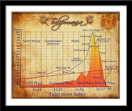 Tallenge - Tulip Price Index - Tulip Mania 1630s - Chart Data Visualization - Finance Stock ...