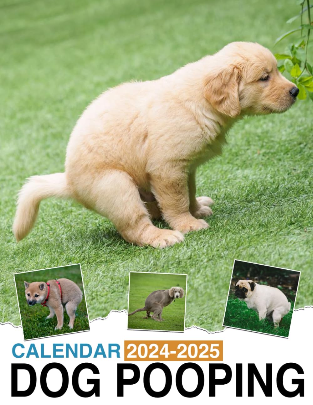 Dog Pooping Calendar 2024 - 2025: 24 Months Jan 2024 to December 2025 ...