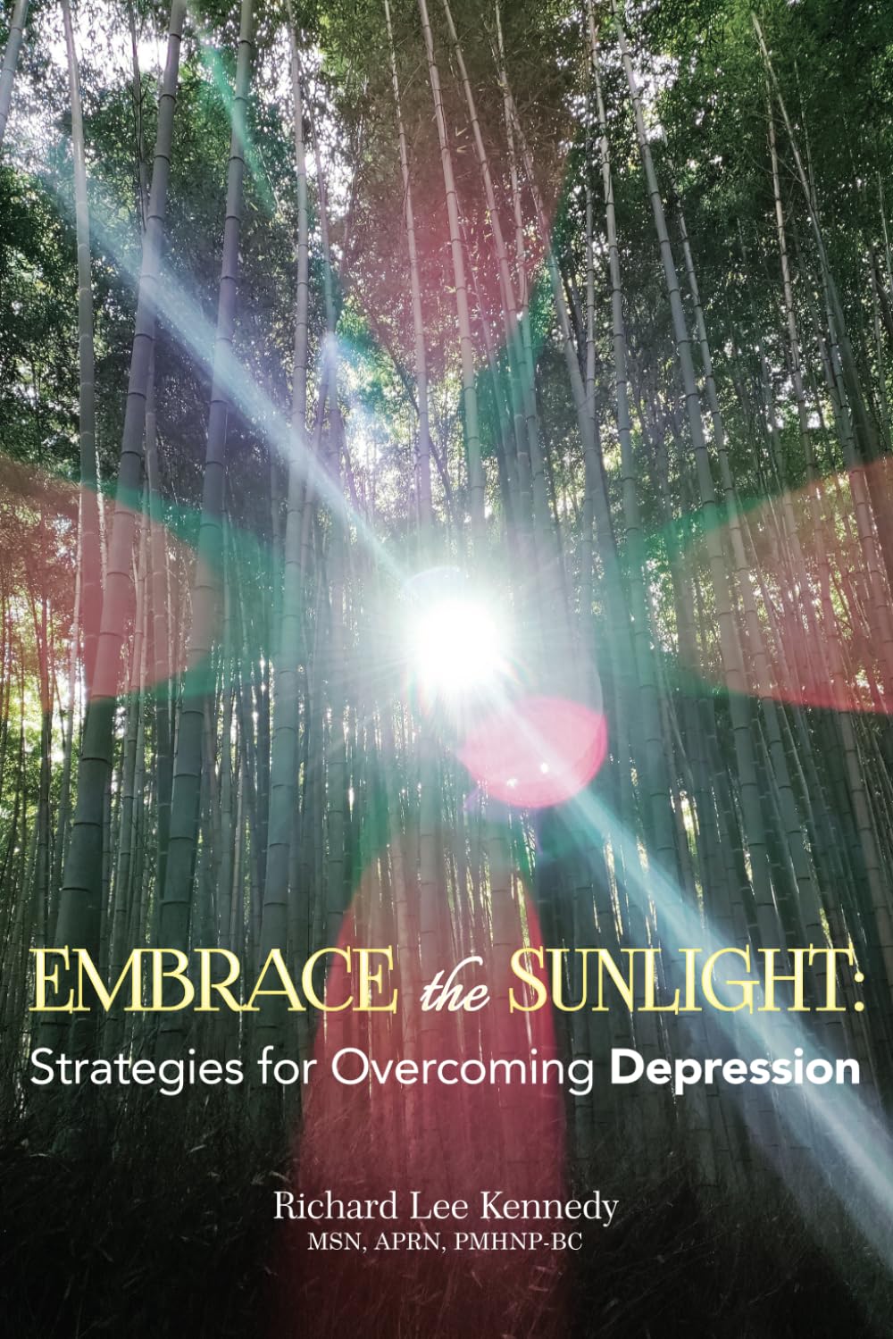 Embrace the Sunlight: Strategies for Overcoming Depression: **Embrace ...