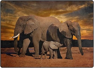 Amazon.com: ALALAL African Elephant Area Rug, Animal Rug for Living ...