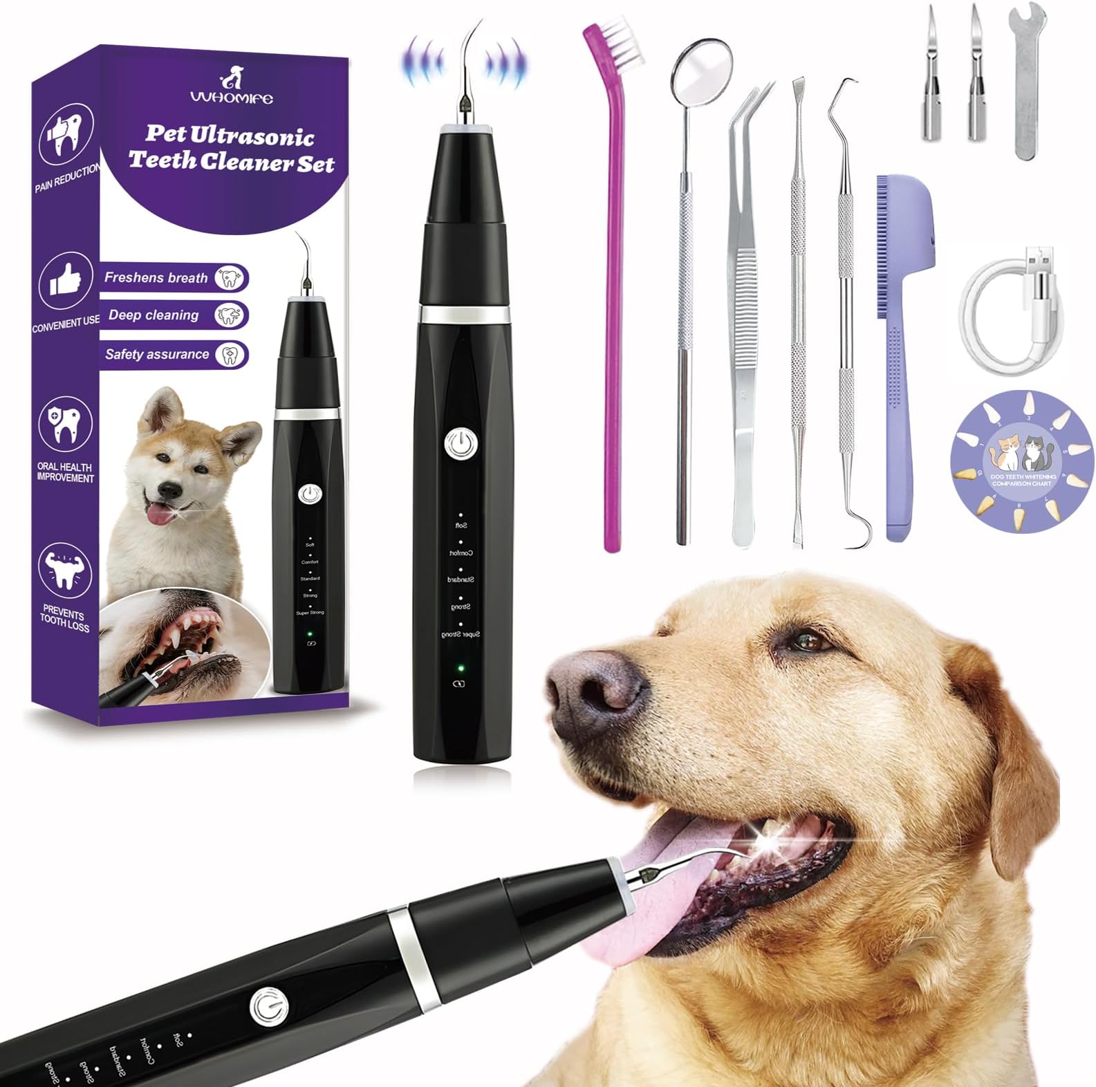 Amazon.com : Ultrasonic Dog Teeth Cleaning Kit with LED Lamp for Pet, 5 ...