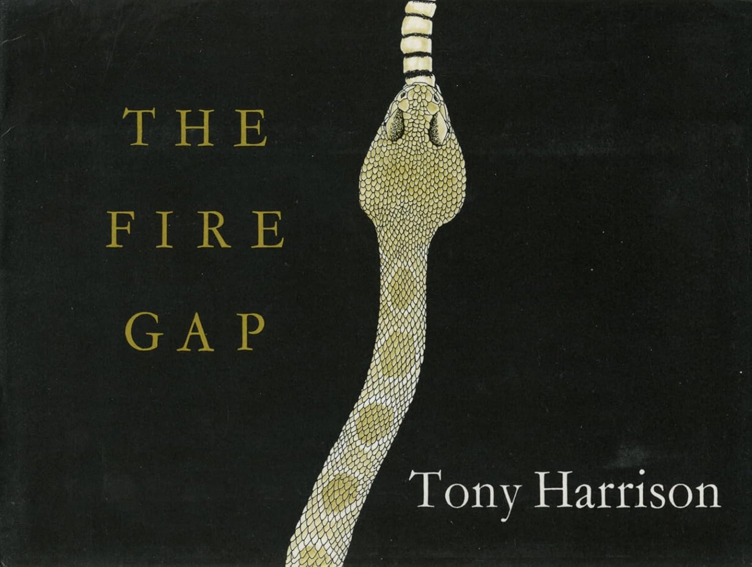 Fire-Gap: Harrison, Tony: 9780906427835: Amazon.com: Books
