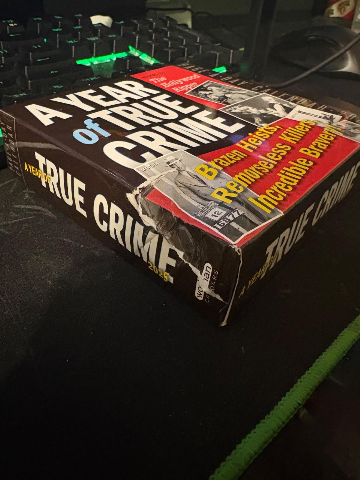 Amazon.com: A Year of True Crime Page-A-Day® Calendar 2025: Brazen ...