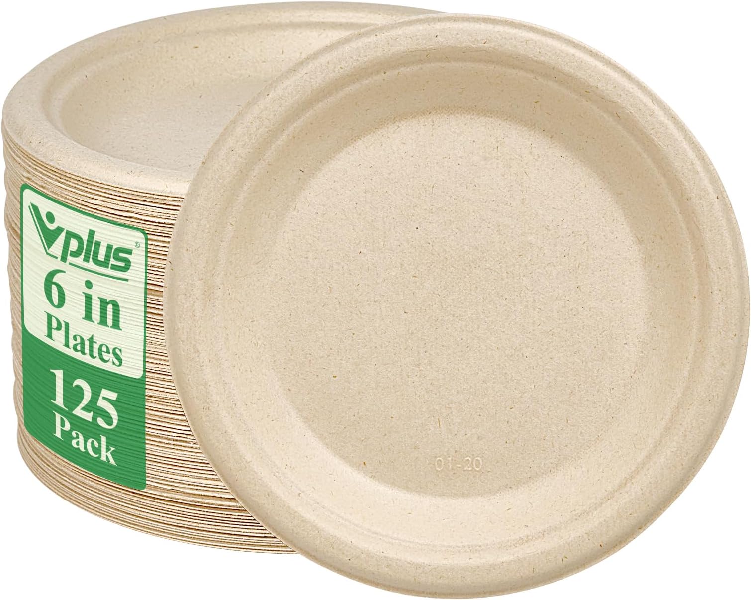Amazon.com: TaidMiao Paper Plates 6 Inches, 100 Pack Disposable Plates ...