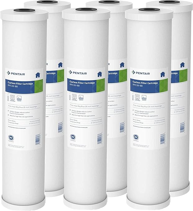 Pentair Pentek RFC-20BB Big Blue Carbon Water Filter, Whole House Heavy ...