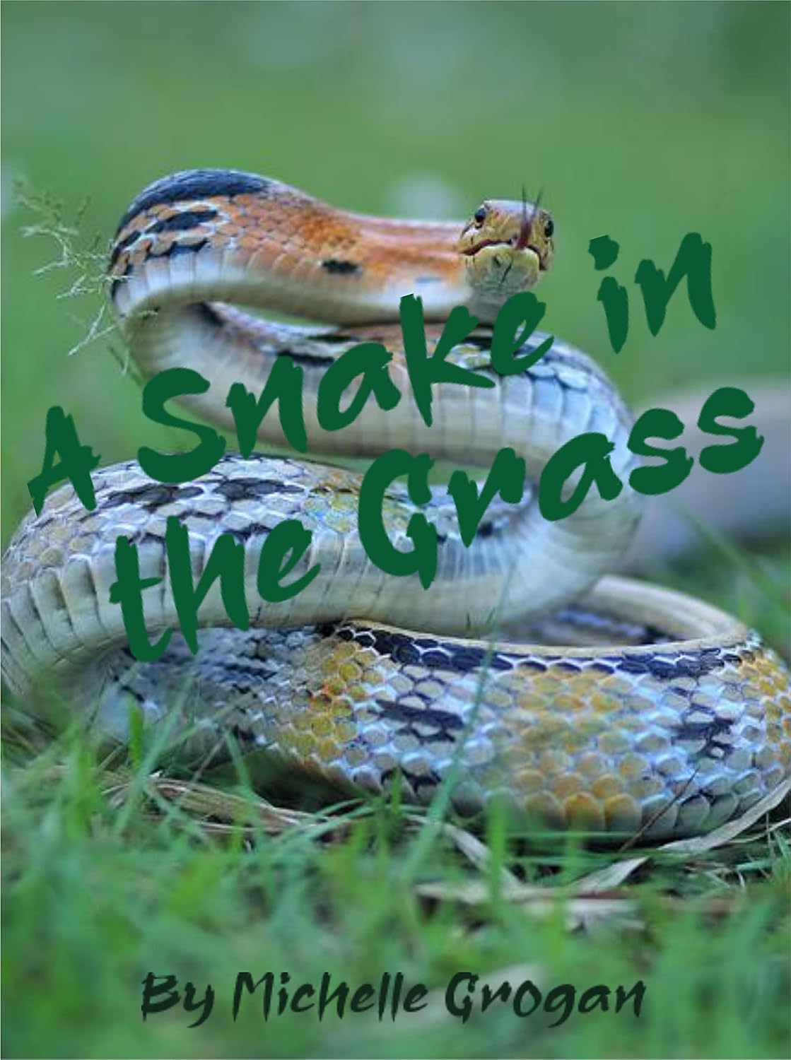A Snake in the Grass (Twin Oaks Book 4) eBook : Grogan, Michelle ...