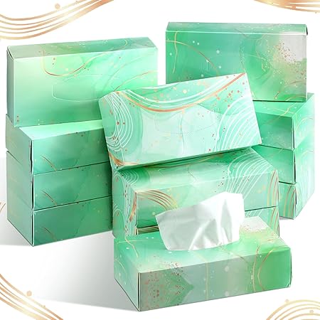 Amazon.com: 12 Packs Facial Tissues Boxes Bulk Soft Facial Tissues 2 ...