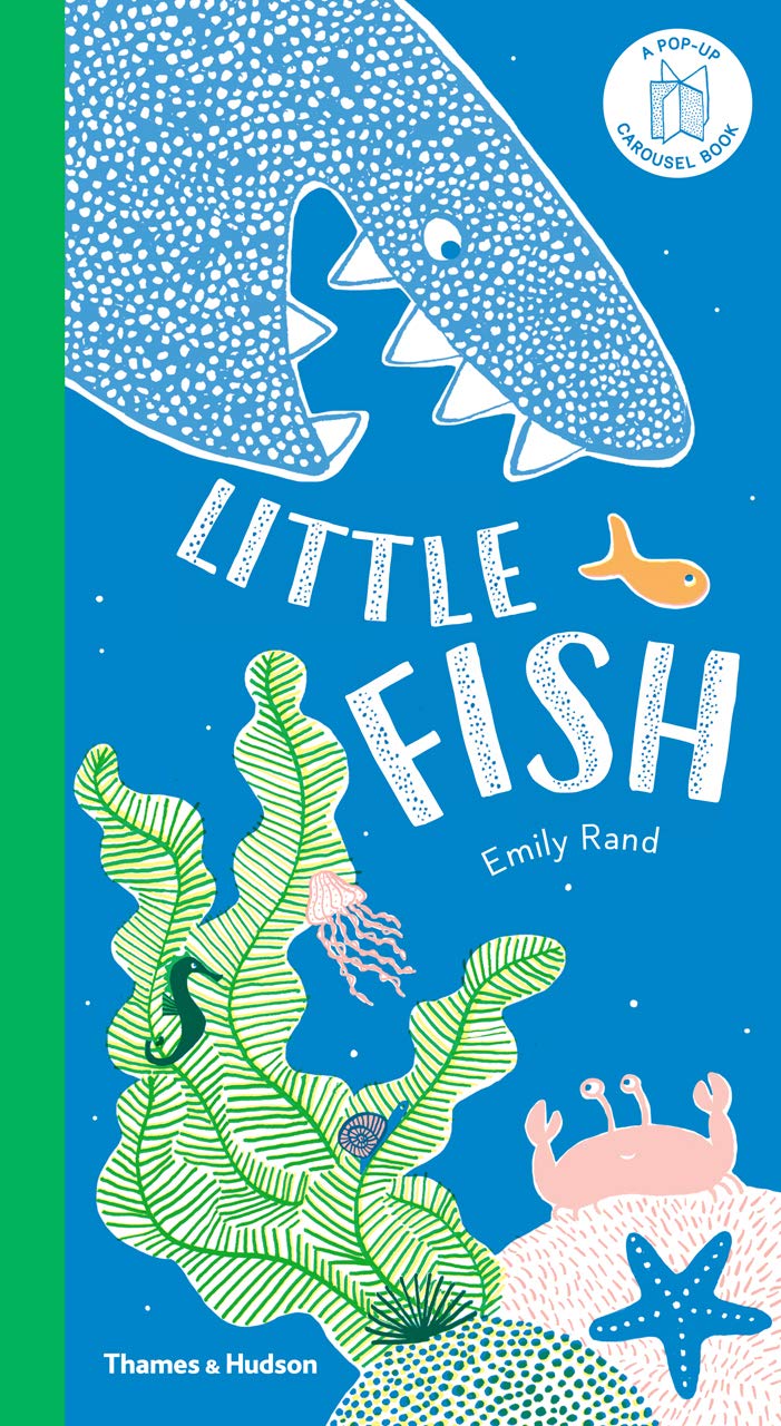 Little Fish: Rand, Emily: 9780500651629: Amazon.com: Books