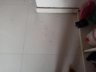 DND Secure Roach Shield Gel - Anti Cockroach Gel | Roach Repellent ...