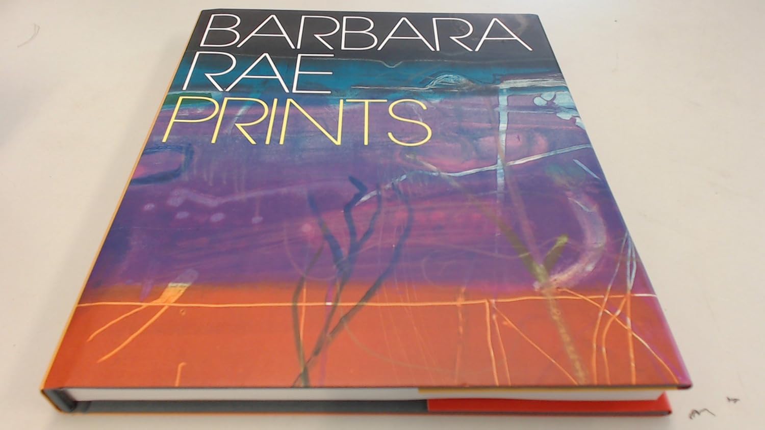 Barbara Rae: Prints: Amazon.co.uk: Andrew Lambirth, Gareth Wardell ...