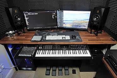 M-Audio EX-P - Expression Pedal for Keyboards, MIDI Keyboards ...