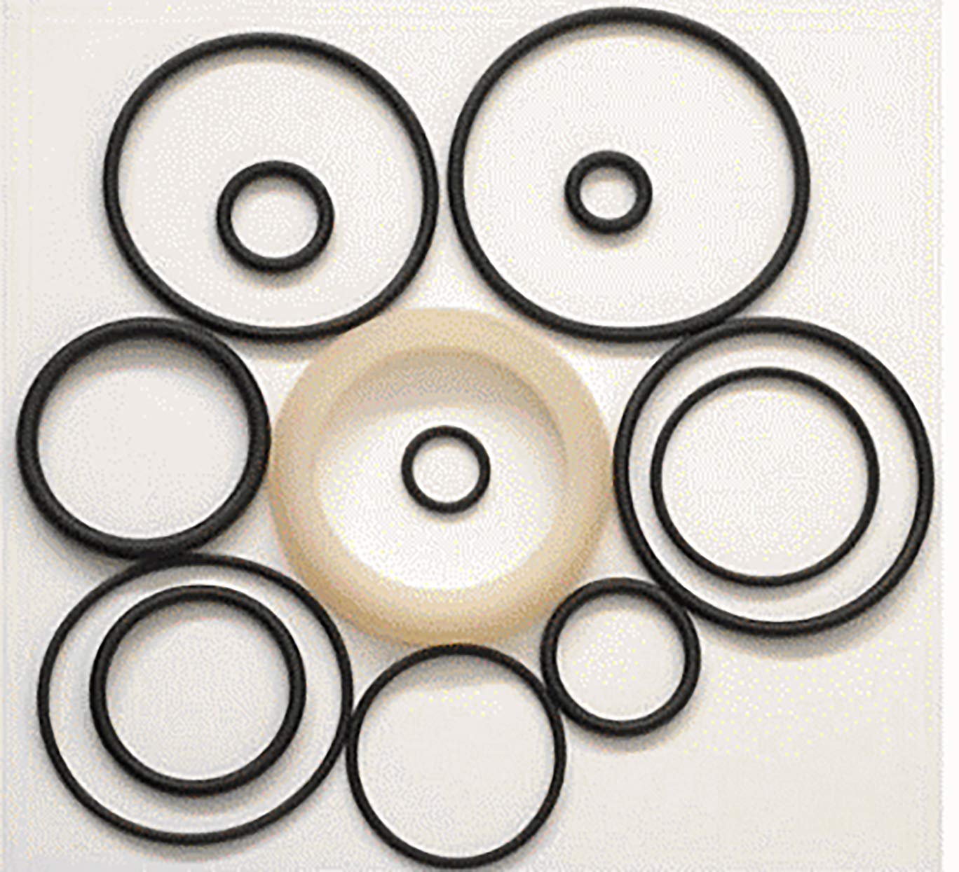 O-Ring Depot Fits Paslode Finish Nailer # 500970 T250-F16 O-Ring Kit ...