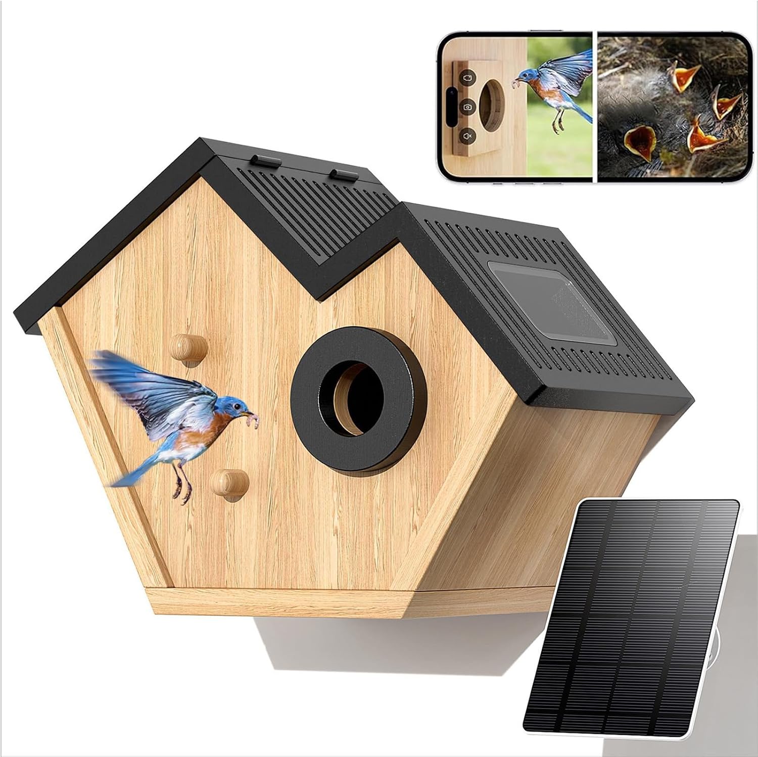 Smart Birdhouse with Camera, Solar Powered Cam Bird Nest with Ai ...