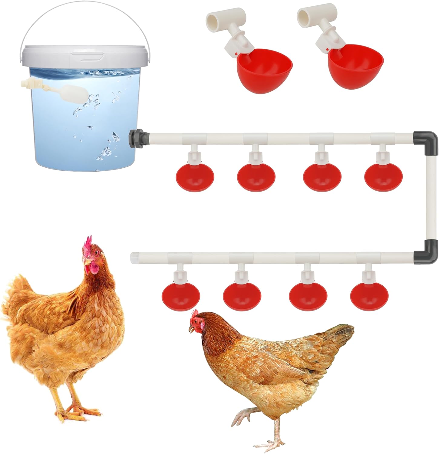 Amazon.com: Complete Set of Automatic Chicken Waterer Chicken Drinking ...