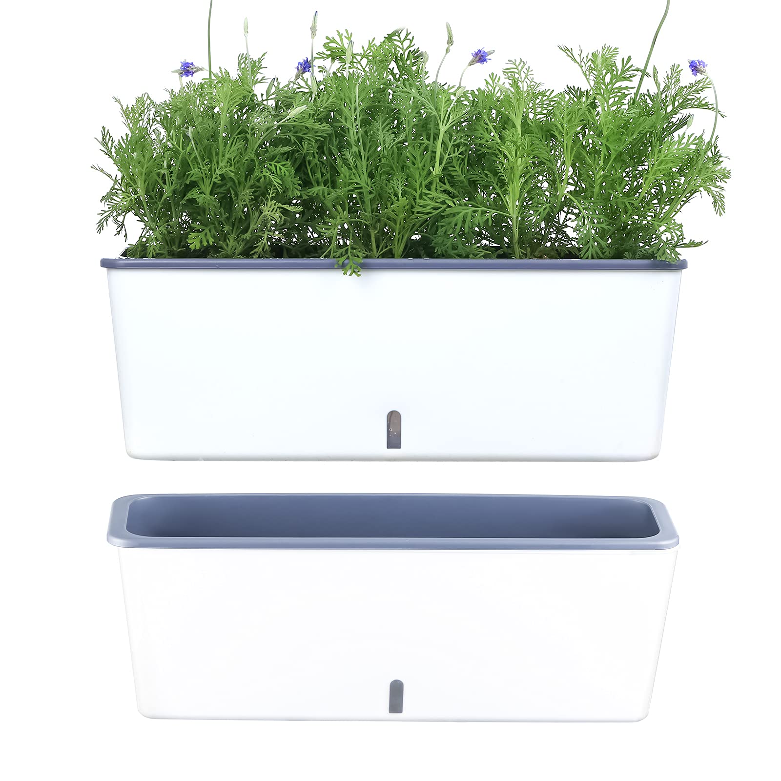Snapklik.com : 2 Pack Rectangular Planter 17 X 4.5 In Self Watering ...