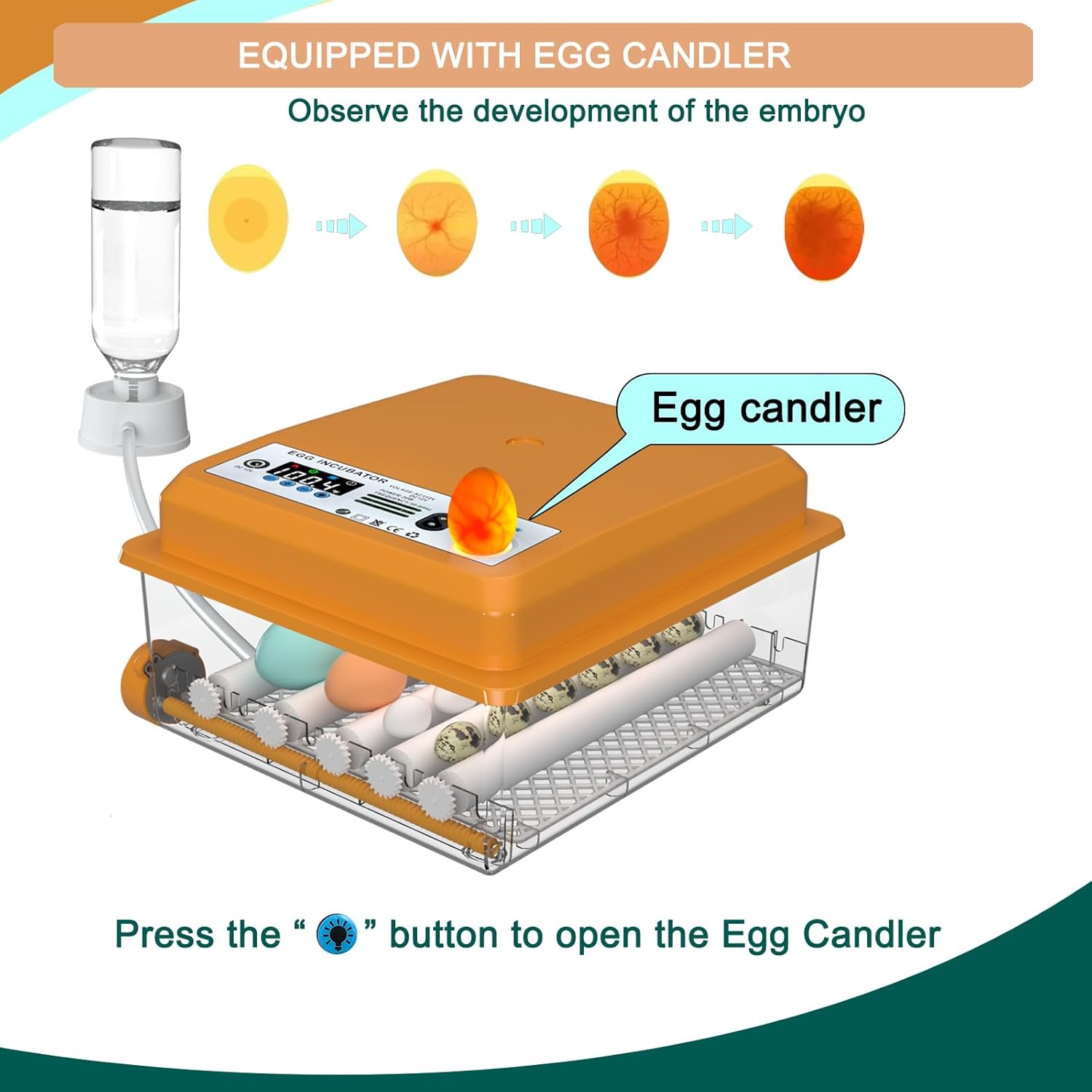 Hethya Incubadoras para incubar huevos, incubadora de 12 a 16 huevos ...