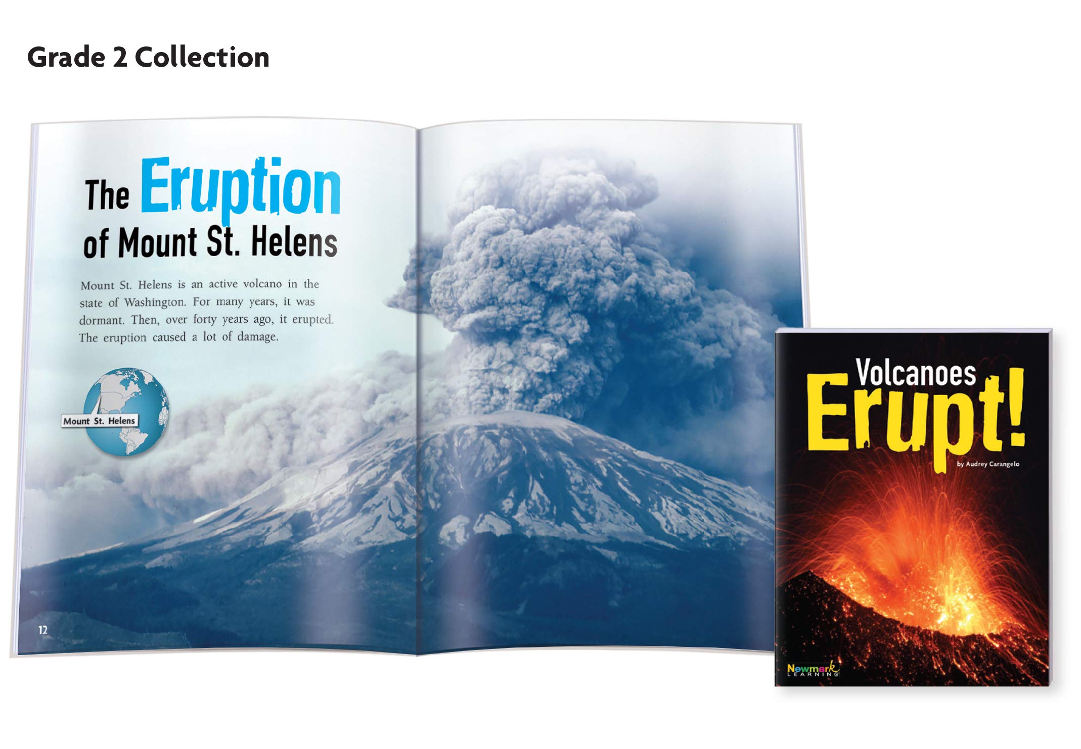 Snapklik.com : Newmark Learning Library STEAM Book Collection Grade 2 Set