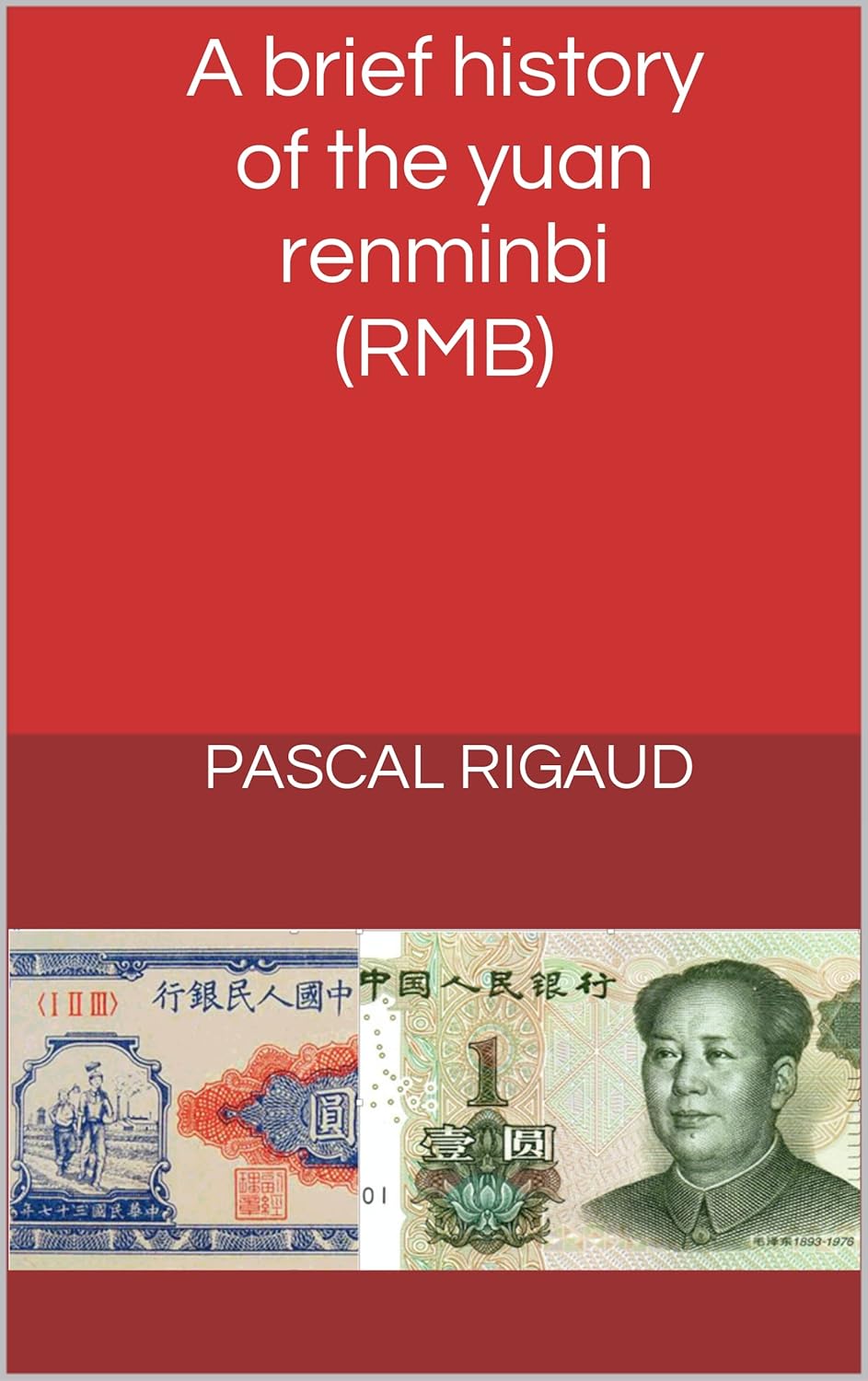 Amazon.com: A brief history of the yuan renminbi (RMB) eBook : Rigaud ...