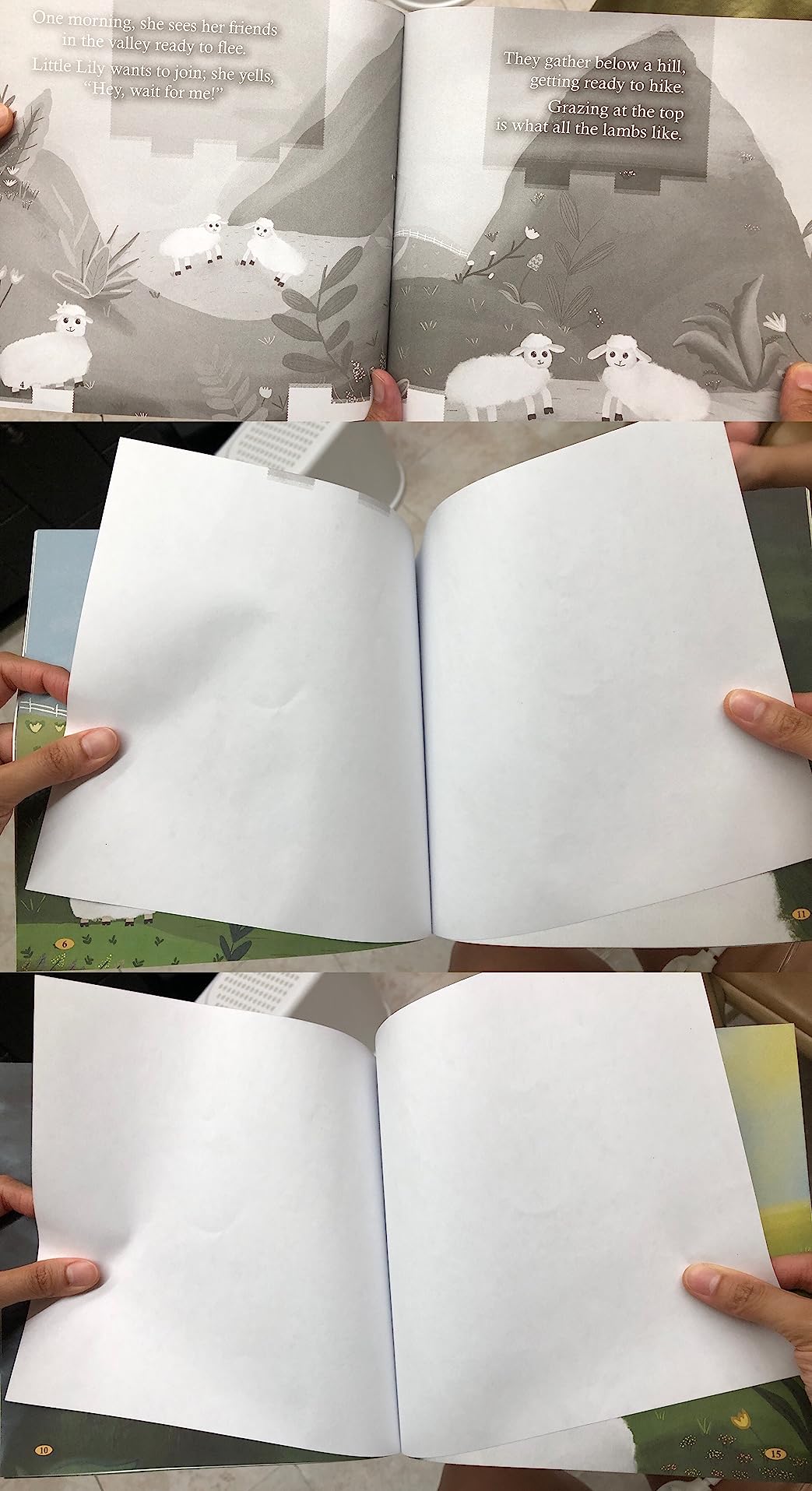 Little Lily's Big Adventure: MacNeill, Amy: 9781638371298: Amazon.com ...