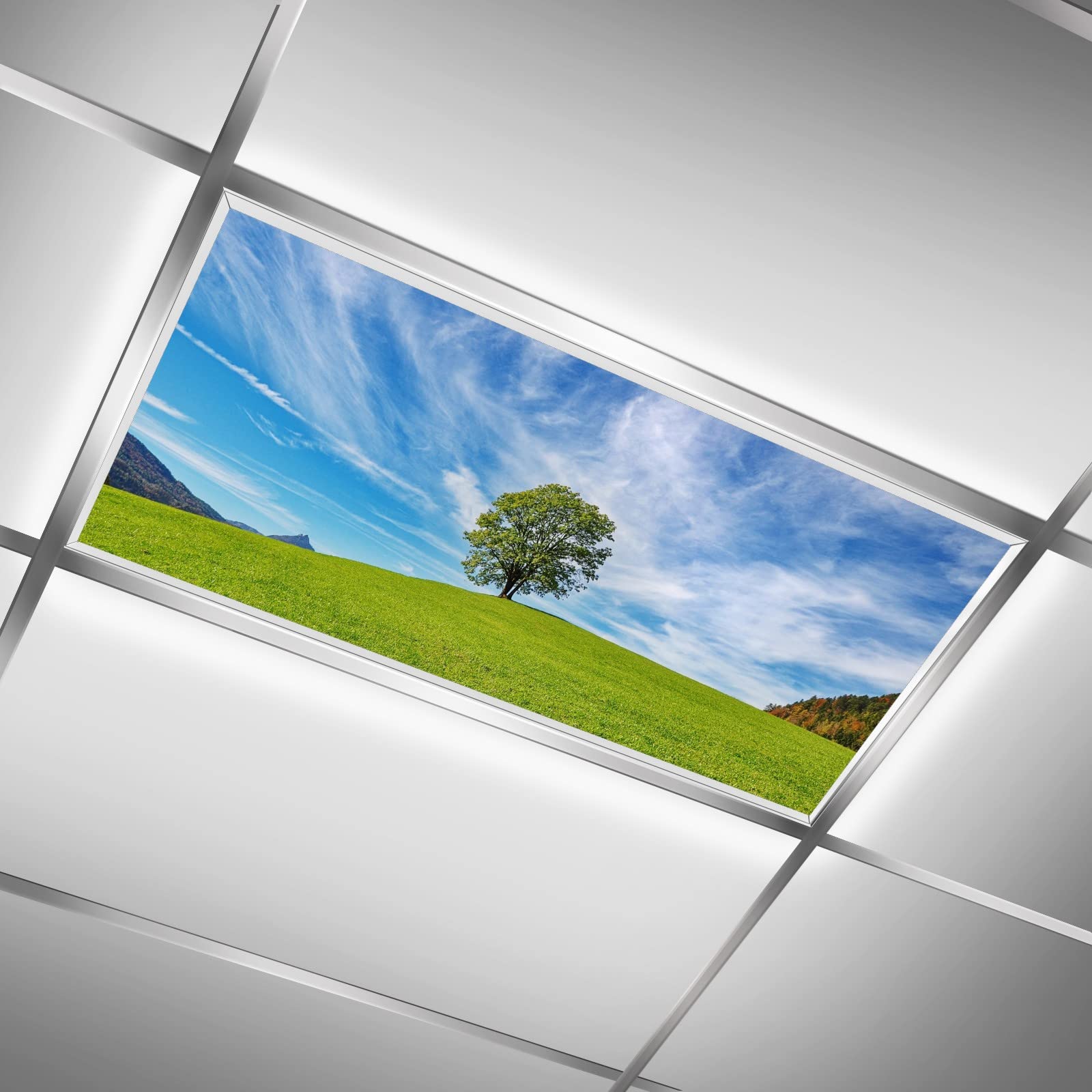 MSINMKOK Fluorescent Light Covers 48 Long for Ceiling Lights 2'x4' for ...