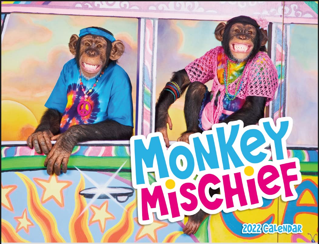 Monkey Mischief 2022 Hanging Wall Calendar 19 X 11 Open | Desertcart ...