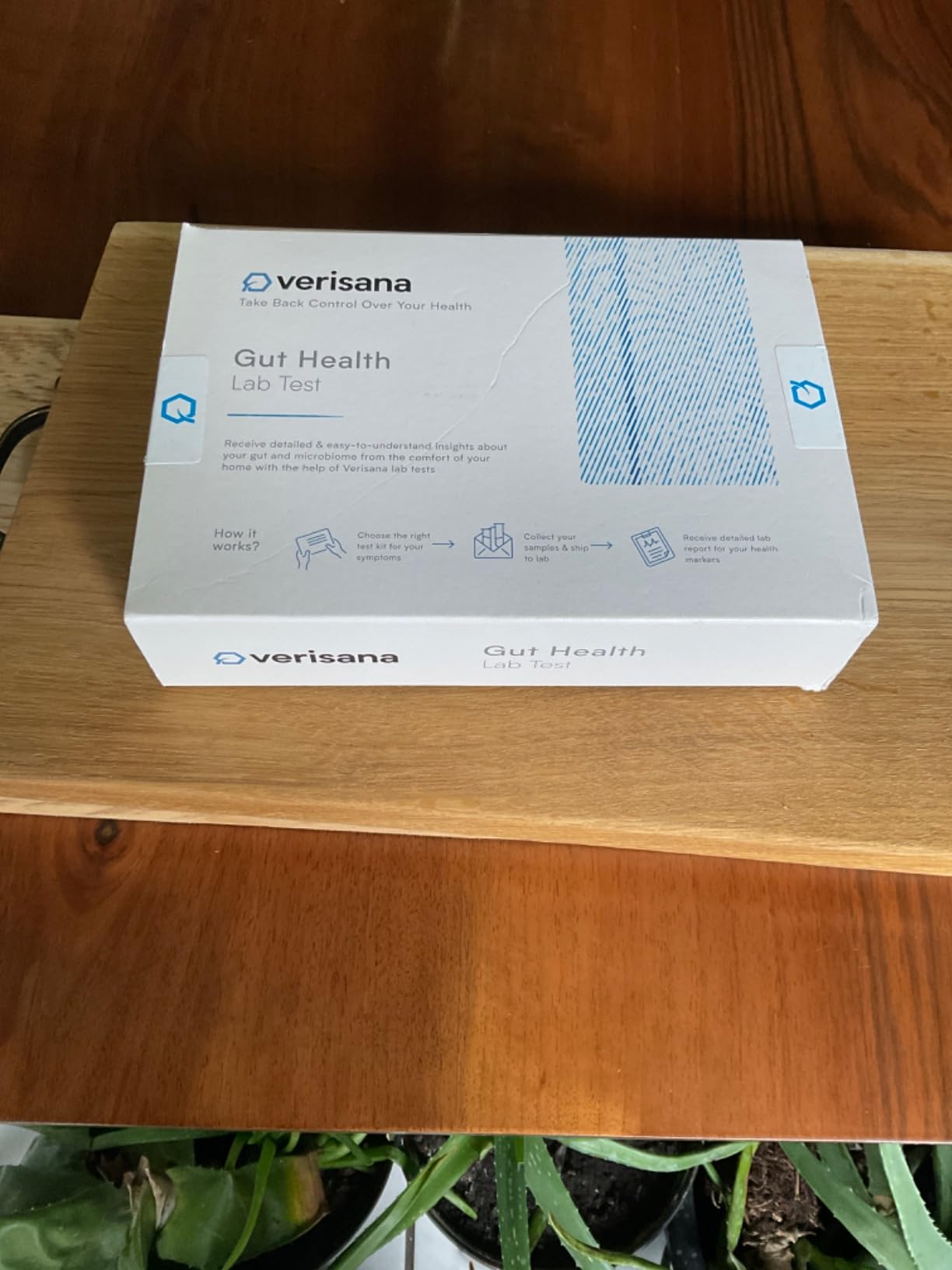 Gut Health Stool Test for Leaky Gut, Candida, Helicobacter Pylori ...