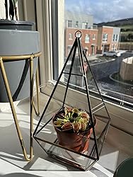 The Fellie Glass Plant Box Modern DIY Wall Mount Hanging Pyramid ...