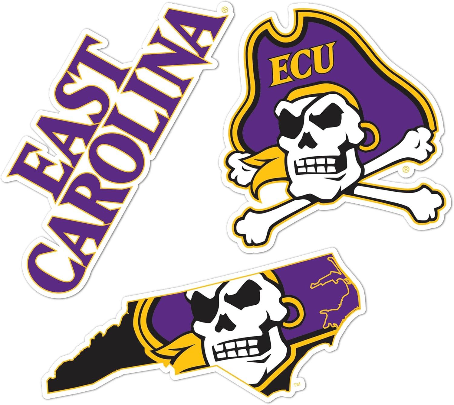 Amazon.com: Desert Cactus ECU East Carolina University Stickers Pirates ...