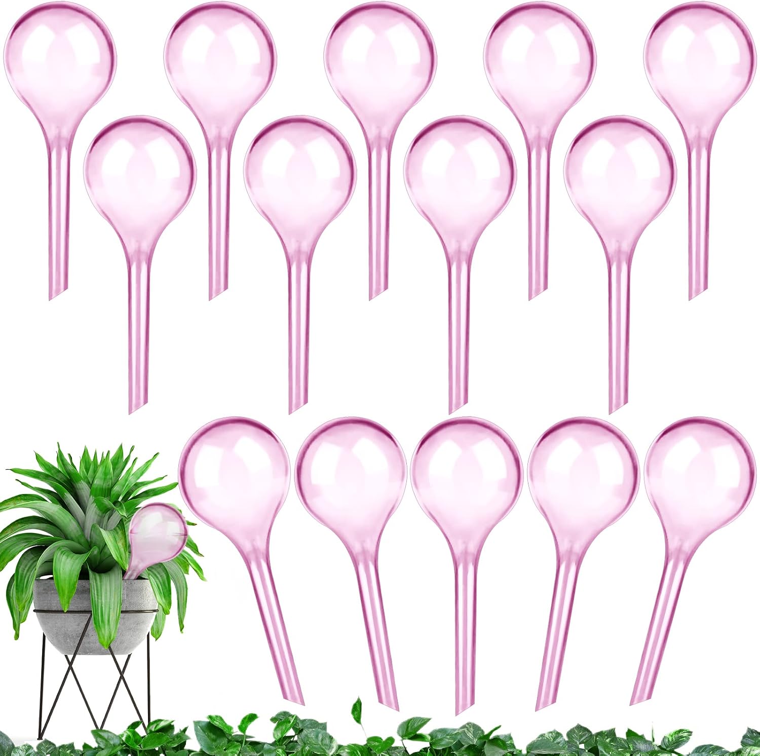 Amazon.com: 14 Pcs Plant Watering Bulbs Clear Self-Watering Globes ...