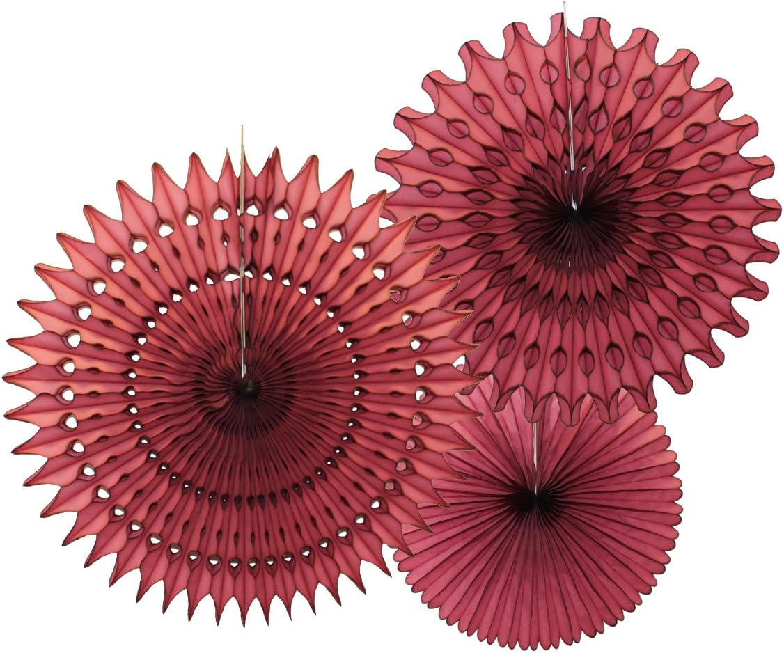 Amazon.com: Set of 3 Tissue Paper Fans, Maroon (13-21 Inch) : Home ...