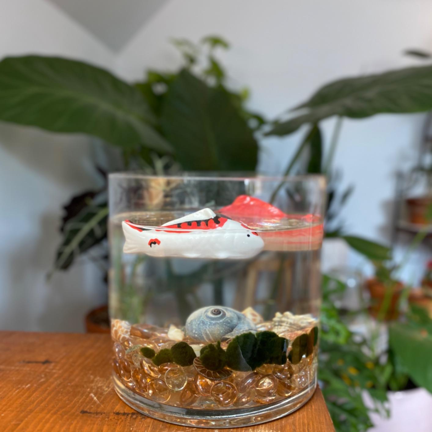 Amazon.com: Art & Artifact Ceramic Floating Koi Fish - Set of 6 Multi ...