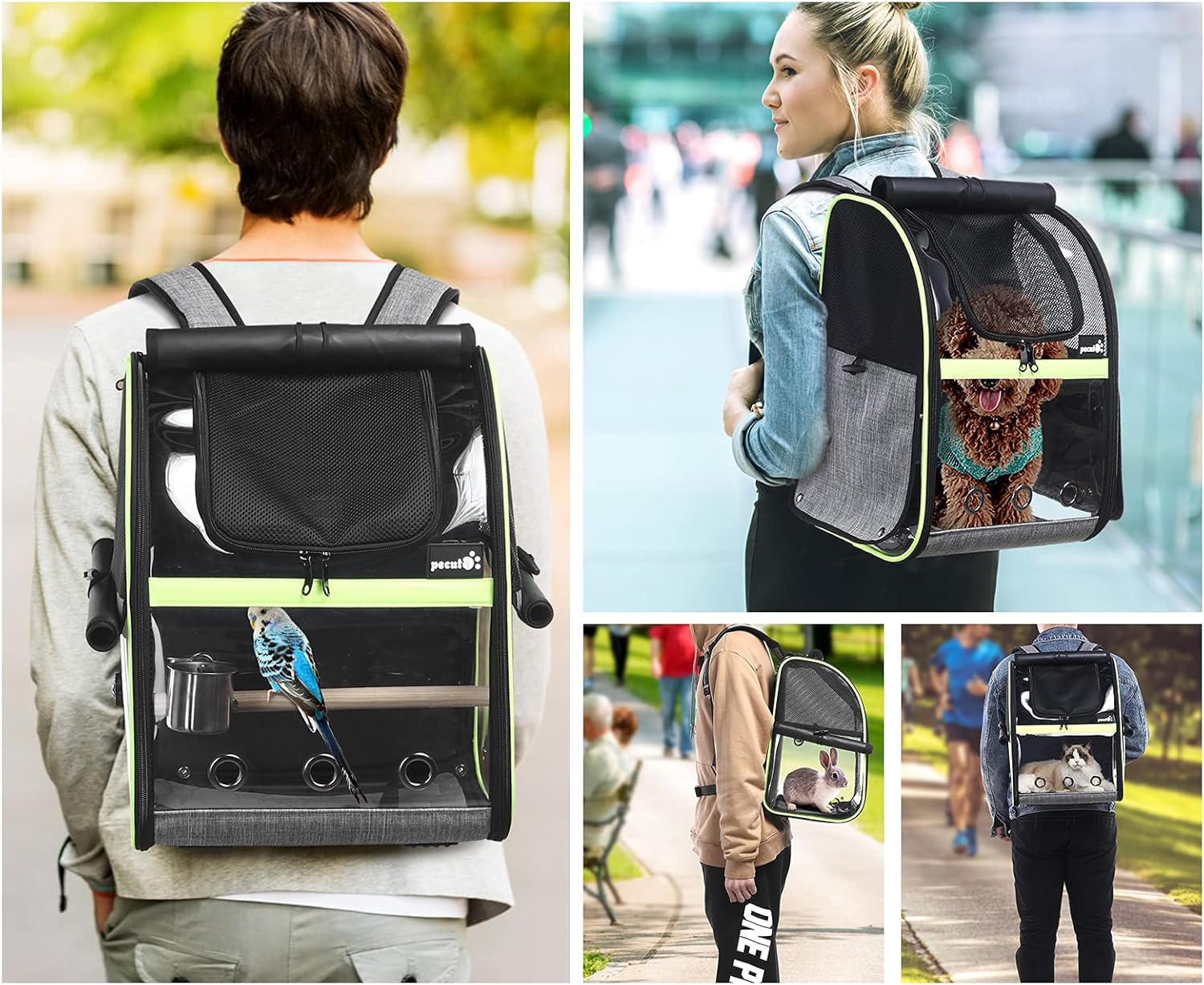 Pecute Bird Carrier Backpack, Parrots Bird Backpack Nepal | Ubuy