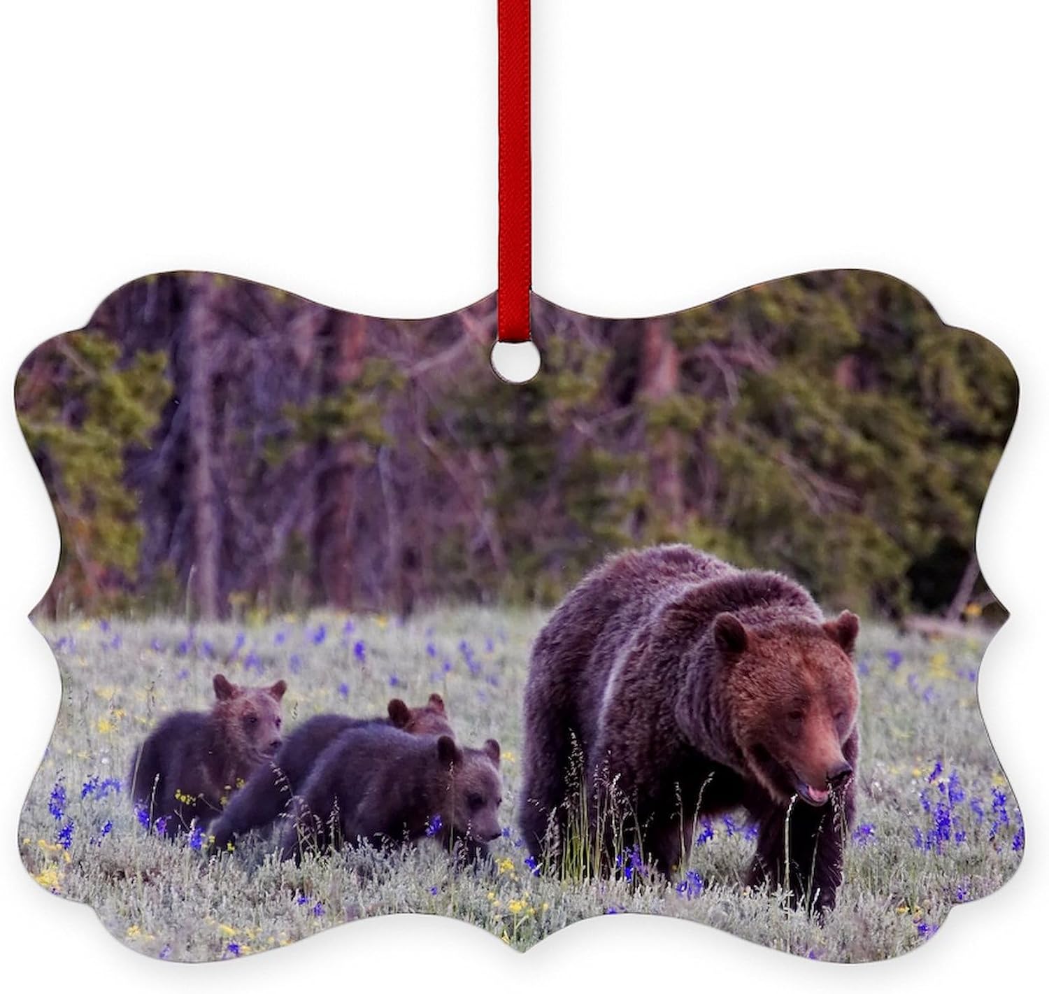 Amazon.com: CafePress Grizzly Bear 399 Ornament Scroll Holiday Ornament ...